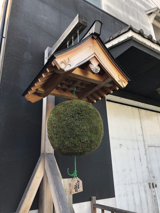 Sakabayashi ：Sugidama | Hasegawa Eiga - sake